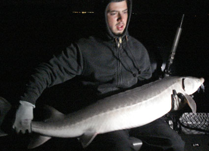 Esturgeon geant hier soir! - Autour d'la tasse de café ! - Pêche QC