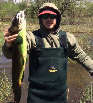 Poisson castor du jour - Autour d'la tasse de café ! - Pêche QC